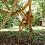 2-Day Angkor Wat Tour from Bangkok - Transportation and Comfort