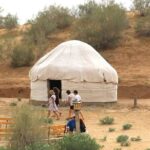 2 Day Aydar Lake Yurt Camping Tour from Samarkand - What Makes This Tour Valuable for Travelers