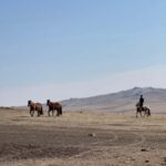 2-Day Elsen Tasarhai/Sand Dune hills & Nomadic Experience - Elsen Tasarkhai: Desert Dunes in Snow