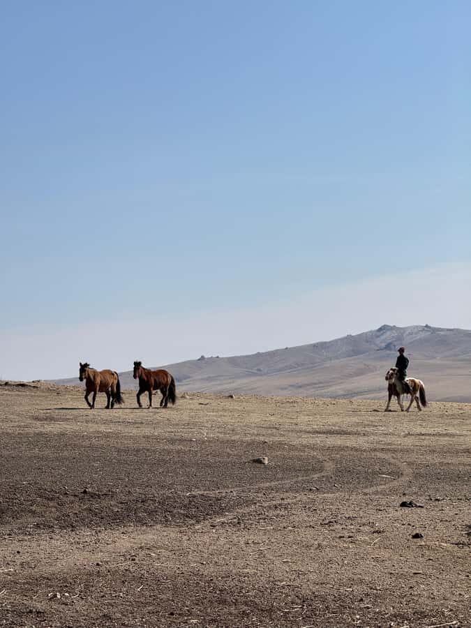 2-Day Elsen Tasarhai/Sand Dune hills & Nomadic Experience - Elsen Tasarkhai: Desert Dunes in Snow