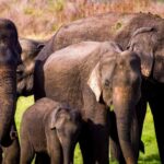 2-Day Galle to Sigiriya Tour with Minneriya Safari - What You Can Expect from the Itinerary