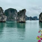 2-Day Guided Bai Tu Long Bay Boutique Cruises From Ninh Binh - The Value of This Experience