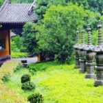 2-Day Hangzhou and Wuzhen Watertown Private Tour from Shanghai - Who Will Love This Tour?