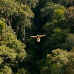 2-Day Hoolock Gibbons Wildlife Tour from Guwahati - Authentic Experiences and Traveler Feedback