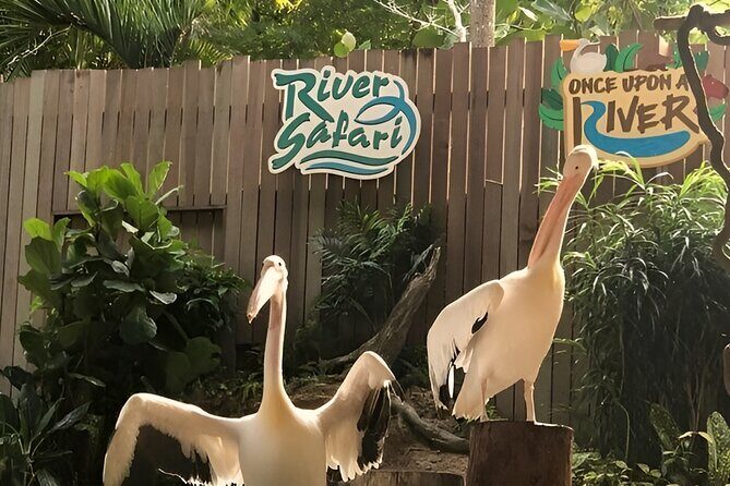 2 Day Mandai Wildlife Reserve Singapore with Roundtrip Transfer - Practical Details and Logistics