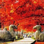 2-Day Nanjing Private Flexible Customized Tour with Lunch Option - Analyzing the Cost and Value