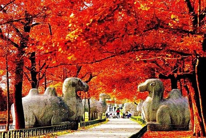 2-Day Nanjing Private Flexible Customized Tour with Lunch Option - Analyzing the Cost and Value