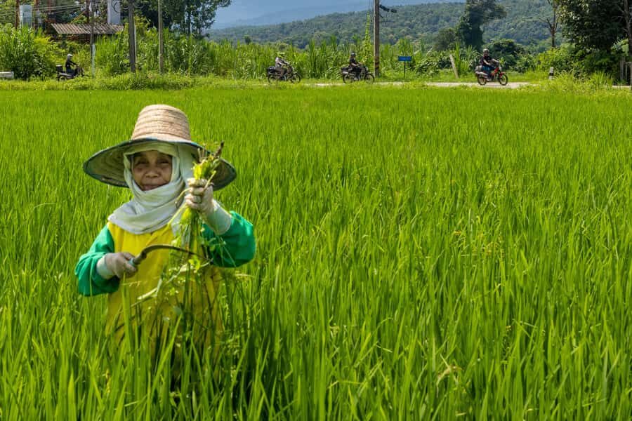 2 day overnight adventure off road scooter tour; Amaz views - What Sets This Tour Apart