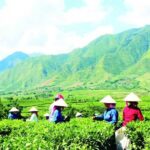 2-Day Private Car Tour from Sa Pa to Mu Cang Chai - Day 2: Discovering Mu Cang Chai’s Hidden Gems