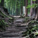 2-Day Private Guided Overnight Hike & Buddhist Temple Stay in Shichimenzan - Final thoughts on Value and Suitability