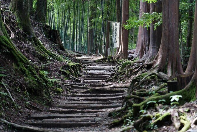 2-Day Private Guided Overnight Hike & Buddhist Temple Stay in Shichimenzan - Final thoughts on Value and Suitability