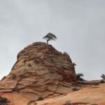 2 Day: Southwest Canyons Tour - The Itinerary Breakdown: What to Expect at Each Stop