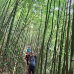 2-Day Trek Through Sapa's Mountains,Valley & Local Villages - Practical Details and What to Expect