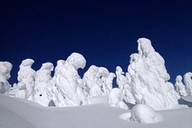 2-Day Zao Snow Monsters Light-Up and Onsen Tour from Tokyo - Frequently Asked Questions