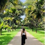 2 Day:Kandy, Ambuluwawa & Sigiriya Dambulla Guided Day Tours - Day 2: From Spiritual Sites to Ancient Marvels and Wildlife