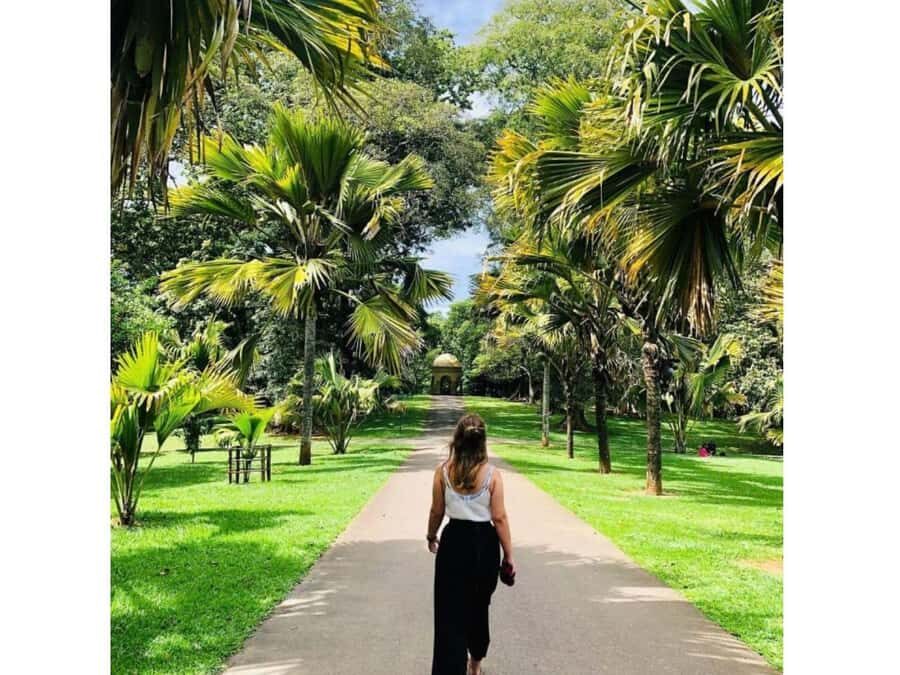 2 Day:Kandy, Ambuluwawa & Sigiriya Dambulla Guided Day Tours - Day 2: From Spiritual Sites to Ancient Marvels and Wildlife