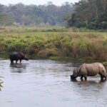 2 Days and 1 Night Chitwan Safari Tour - Frequently Asked Questions