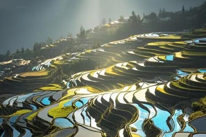 2 Days Honghe Yuanyang Hani Rice Terraces Private Tour - The Sum Up: Is This Tour Right for You?