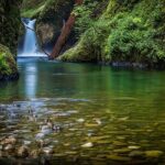 2 - Days: Jim Corbett jungle safari tour from Chennai by Flight - Analyzing the Value