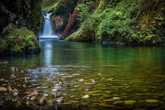 2 - Days: Jim Corbett jungle safari tour from Chennai by Flight - Analyzing the Value