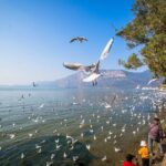 2 Days Kunming City Tour with Professional Private Tour Guide - Authenticity & Traveler Feedback