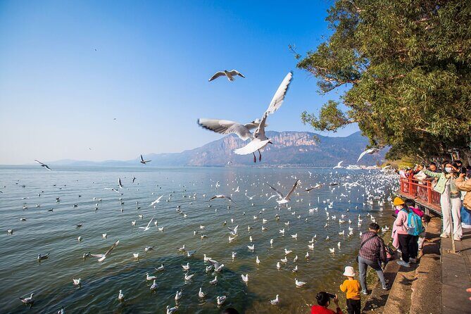 2 Days Kunming City Tour with Professional Private Tour Guide - Authenticity & Traveler Feedback