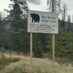 2 Days Luxury Guided Tour of Jasper National Park from Calgary - Exploring the Value of This Tour