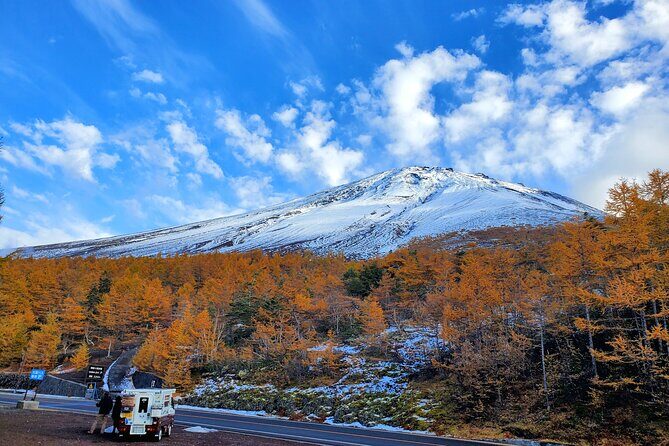 2 Days Mount Fuji and Hakone Private Tour from Tokyo Customizable - Authentic Cultural and Scenic Highlights