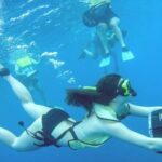 2-Days of Private Jamaican Excursions (All Inclusive) - What Travelers Are Saying