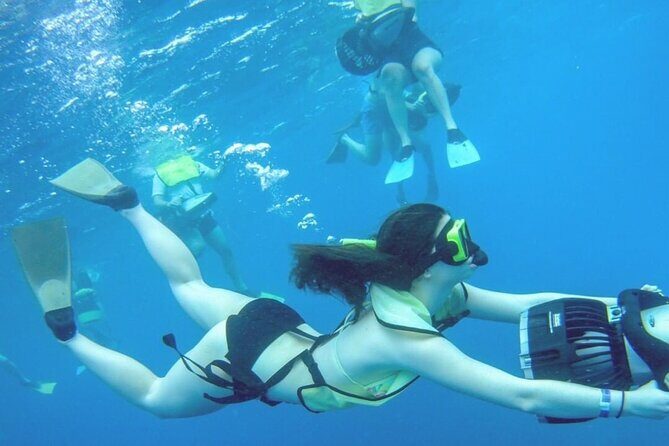 2-Days of Private Jamaican Excursions (All Inclusive) - What Travelers Are Saying