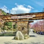 2 Days Smangus Adventure in Taiwan - Day Two: Exploring Ancient Giants and Local Charm