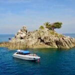 2 dives at coral reefs, Half day for certified divers - Who Will Love This Tour?