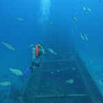 2 guided shore dives in Curacao - The Sum Up