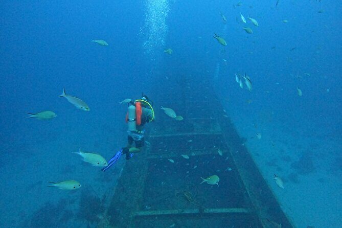 2 guided shore dives in Curacao - The Sum Up