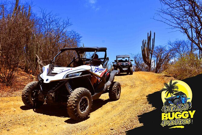2-Hour Buggy Adventure Tour in Curacao - The Practical Side: Transportation, Group Size, and Booking