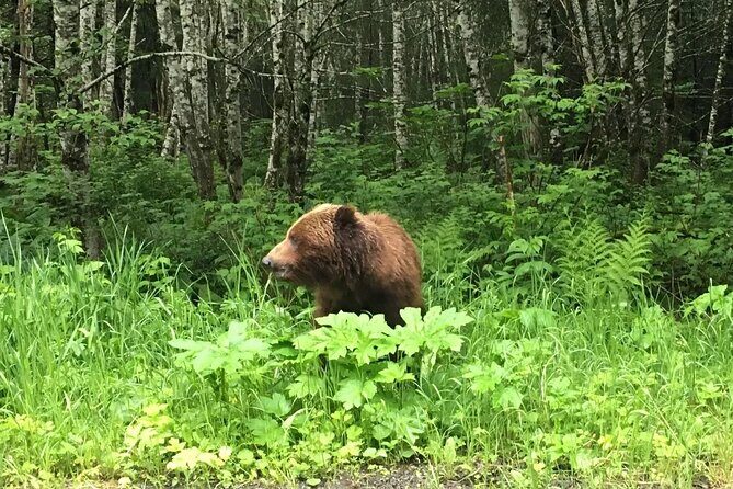 2 Hour Chichagof Island Guided Driving Tour - FAQ