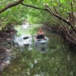 2-Hour Clear Kayak Rentals in St Pete, FL - Clam Bayou - Practical Tips for Your Paddle