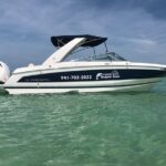 2 hour Dolphin Tours - What to Expect on the Tour