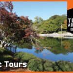 2 hour Guided E-bike Tour: Greenery, Scenery & Mindfulness - What to Expect from the Tour