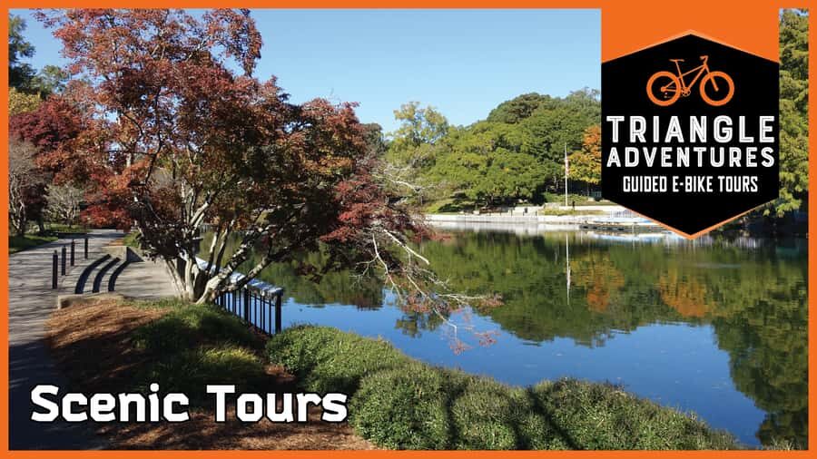 2 hour Guided E-bike Tour: Greenery, Scenery & Mindfulness - What to Expect from the Tour