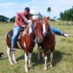 2-Hour Horseback Riding Tour at Sunset from Punta Cana - Practical Details