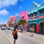 2 hour Individual Guided South Island Tour for Singles/Couples - The Experience from the Traveler Perspective