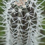 2 Hour Individual Island South Tour on Bonaire for 1 - 12 persons - How It Works: Booking and Practical Tips