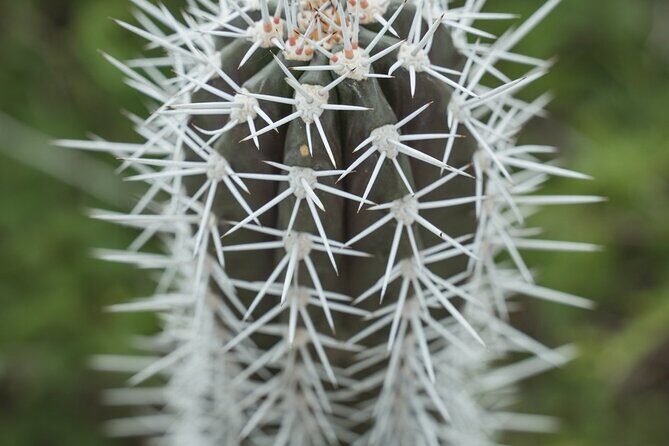 2 Hour Individual Island South Tour on Bonaire for 1 - 12 persons - How It Works: Booking and Practical Tips