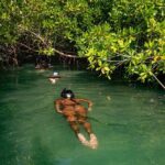 2 Hour Mangrove Kayak and Snorkel Tour - Why This Tour Offers Great Value