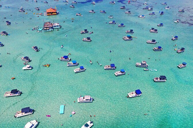 2 Hour Private Captained Crab Island Dolphin Tour in Destin - What Makes This Tour Stand Out?