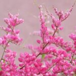 2 Hour Private Guided North Island Tour for singles or doubles - What You Can Expect