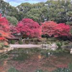 2-Hour Private Hiroshima Morning Tour - Why This Tour Offers Good Value