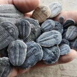 2 hour Quarry Access - The Practicalities