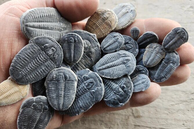 2 hour Quarry Access - The Practicalities